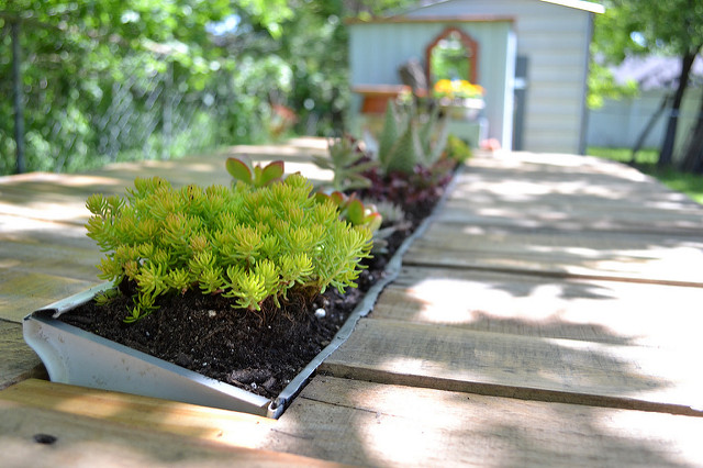 Mostly Pallet Wood Farmhouse Table with Sunken Gutter Succulent Planter ...